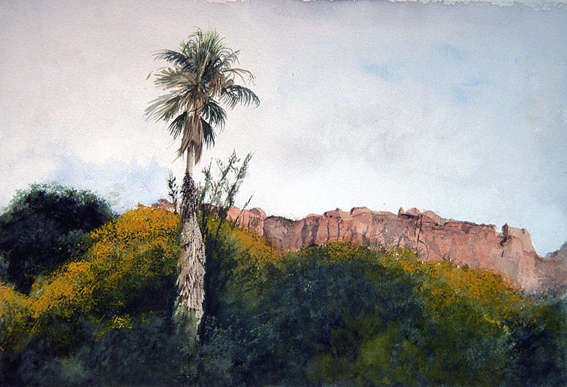 1996-2020 – David Scott McCurry Fine Art